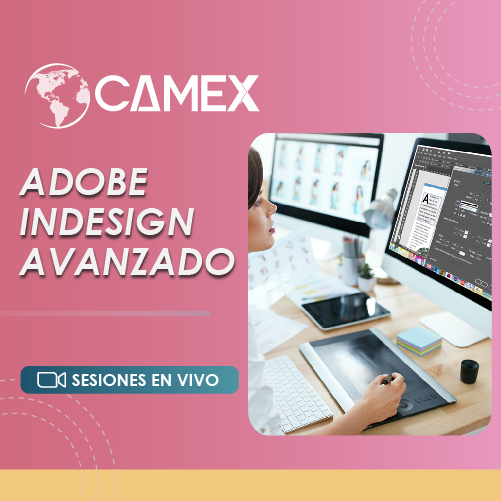 CUBICOL Visitante - CAMEX